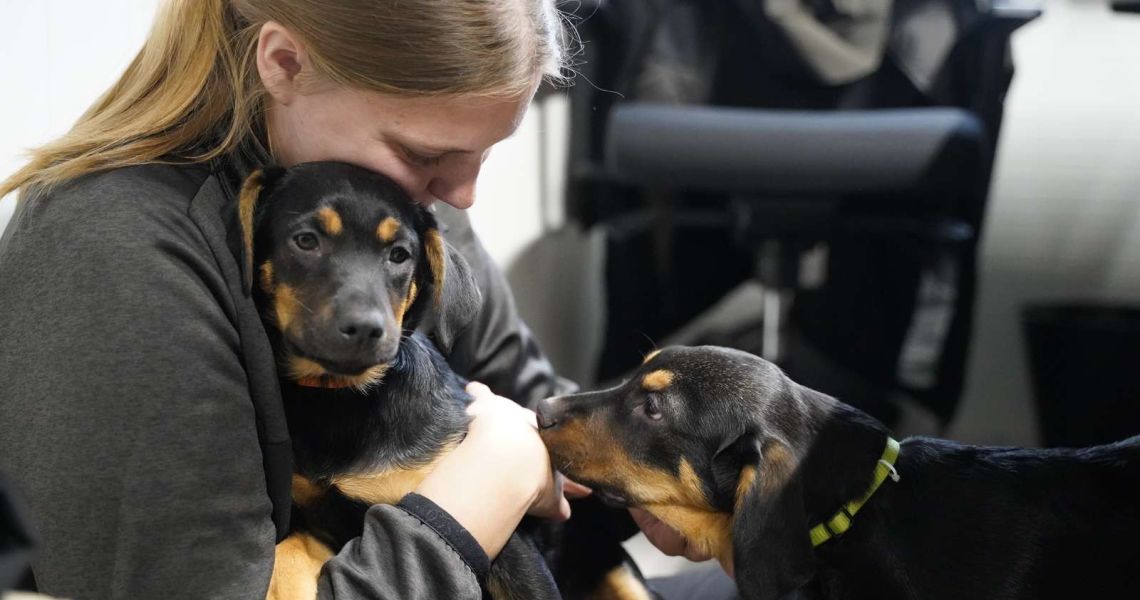 15 hunde reddet: Stor redningsaktion strakte sig over to dage | Dyrenes Beskyttelse